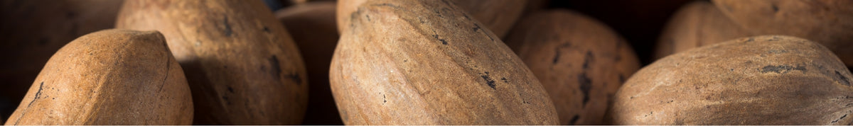 Are Pecans a Healthy Snack Choice? – Hudson Pecan Company