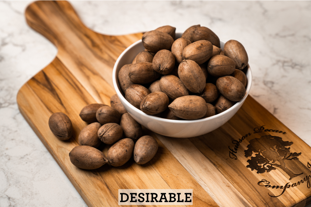 In Shell Desirable Pecans | Hudson Pecan – Hudson Pecan Company