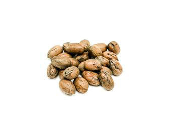 In Shell Stuart Pecans | Hudson Pecan – Hudson Pecan Company